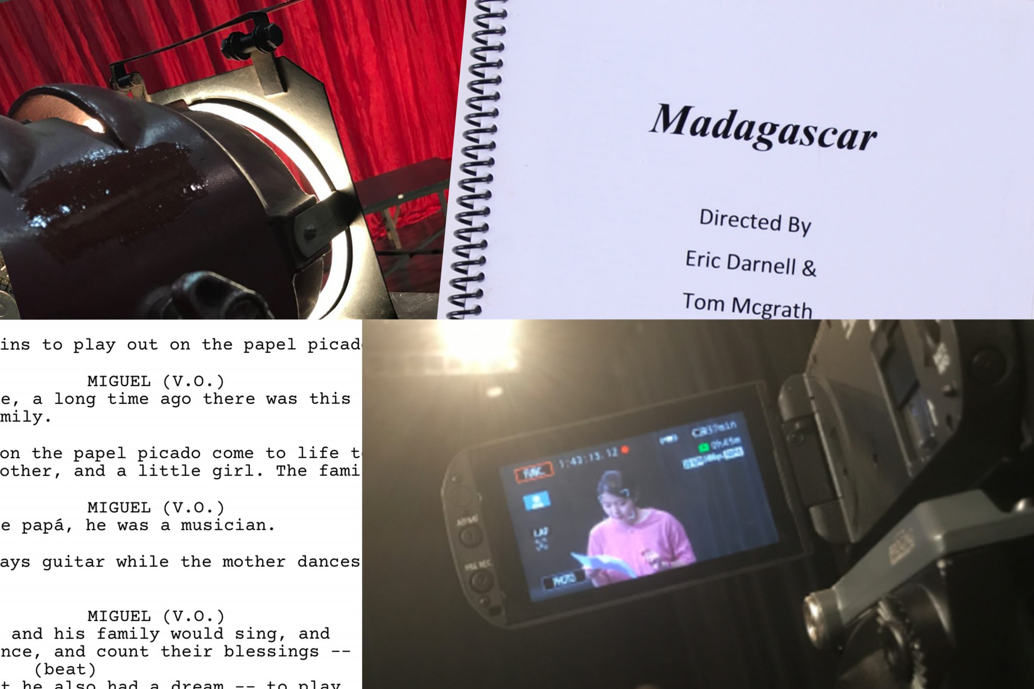 Voiceover Camera Acting Summer Institute - UCLA Summer Sessions