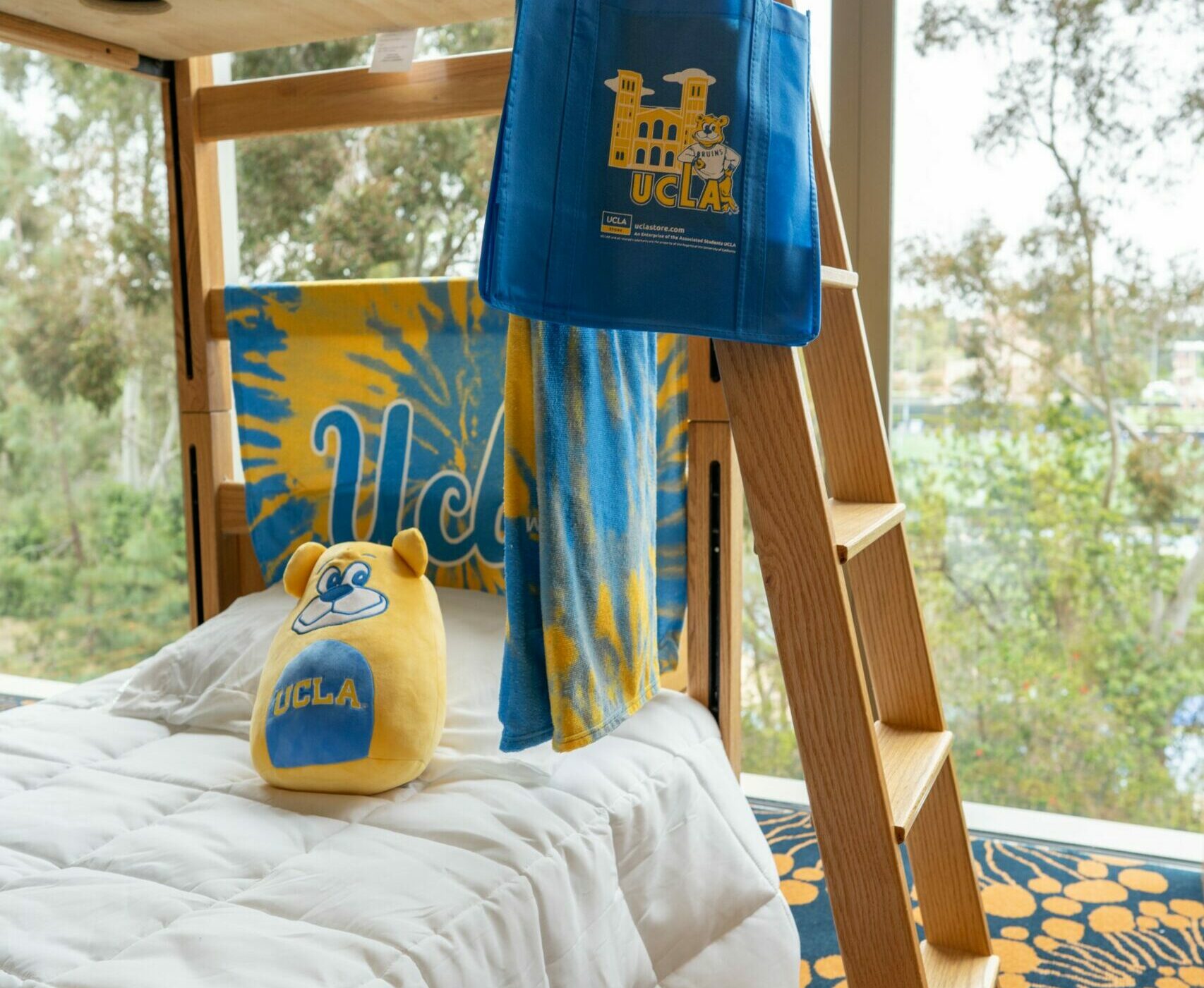 Summer Pathways for Freshmen - UCLA Summer Sessions