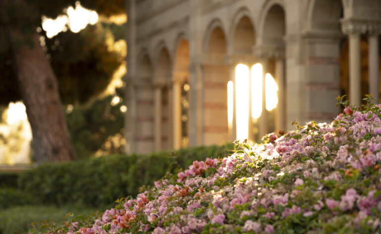 Summer Pathways - UCLA Summer Sessions